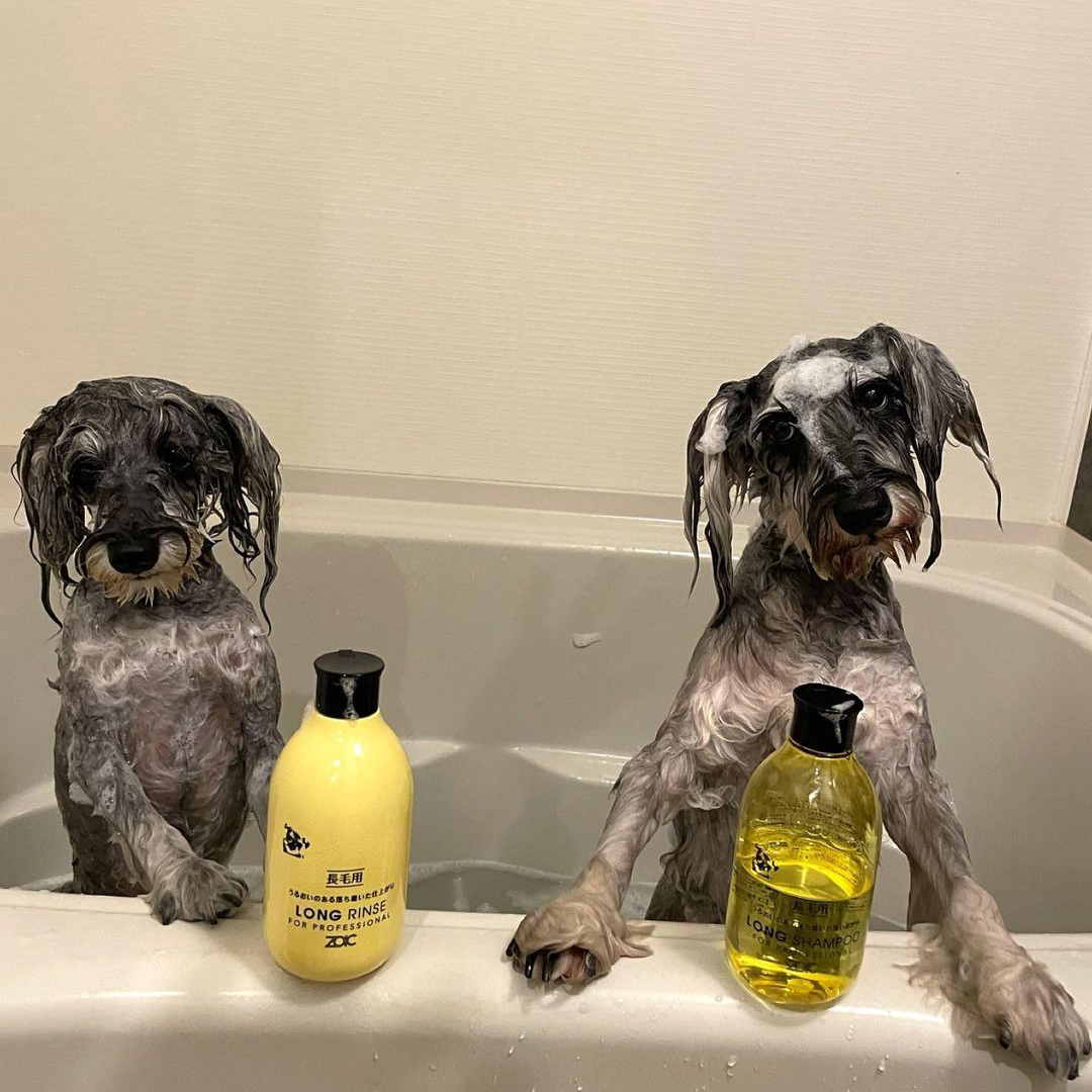 ゾイック N アンバサダー ボイス | ZOIC（ゾイック）株式会社ハートランド